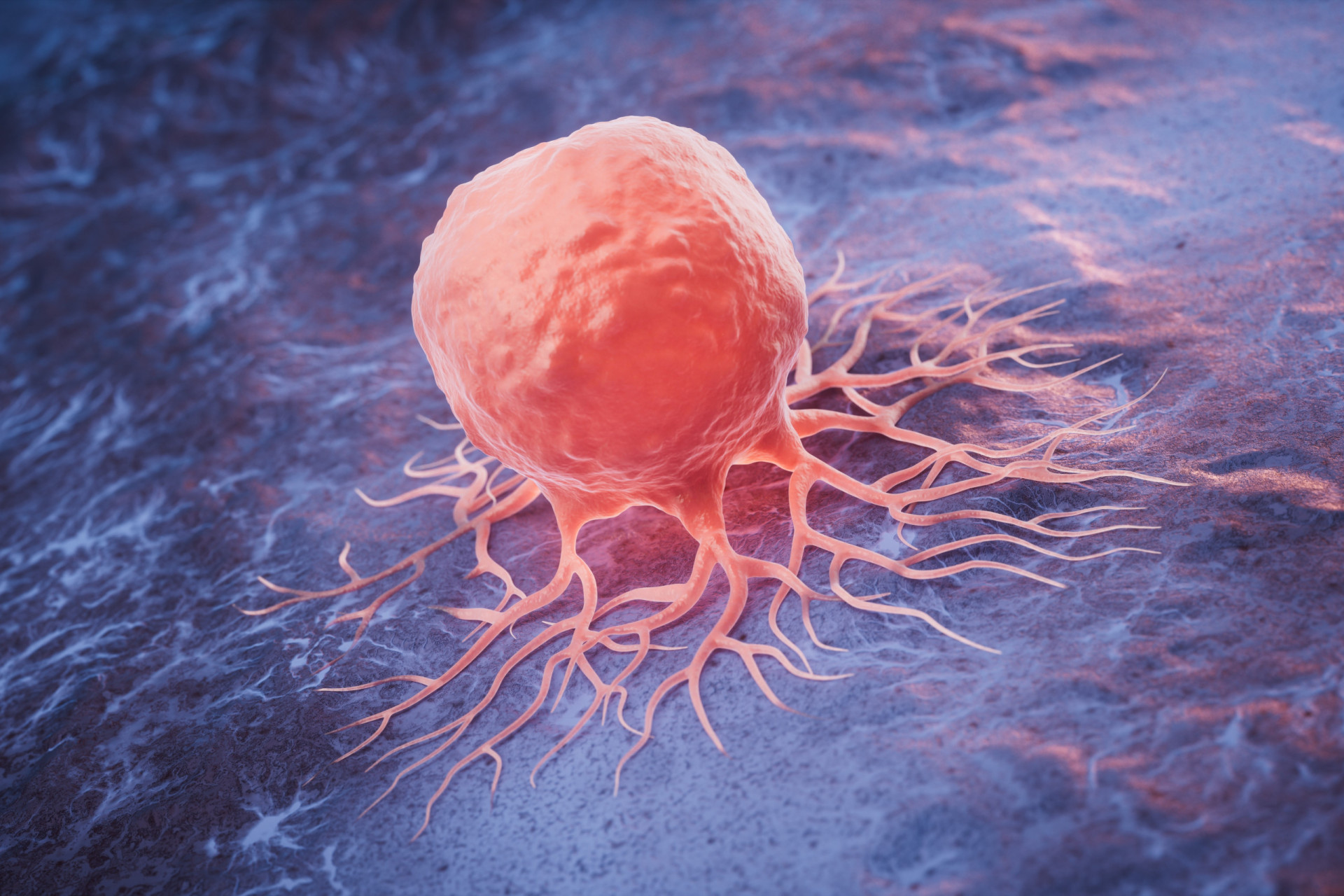 What to know about stage 0 cancer