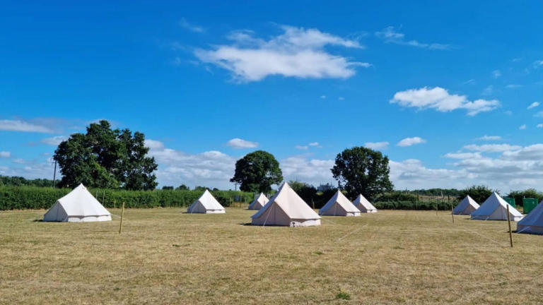 Bell tents arriving at William's Den this May Half Term as campsite ...