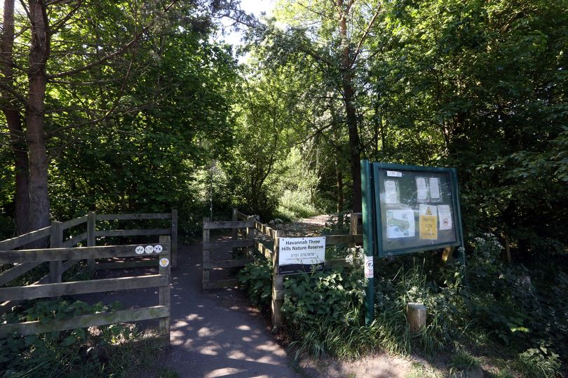 Council backs controversial plans for new school path through Newcastle ...