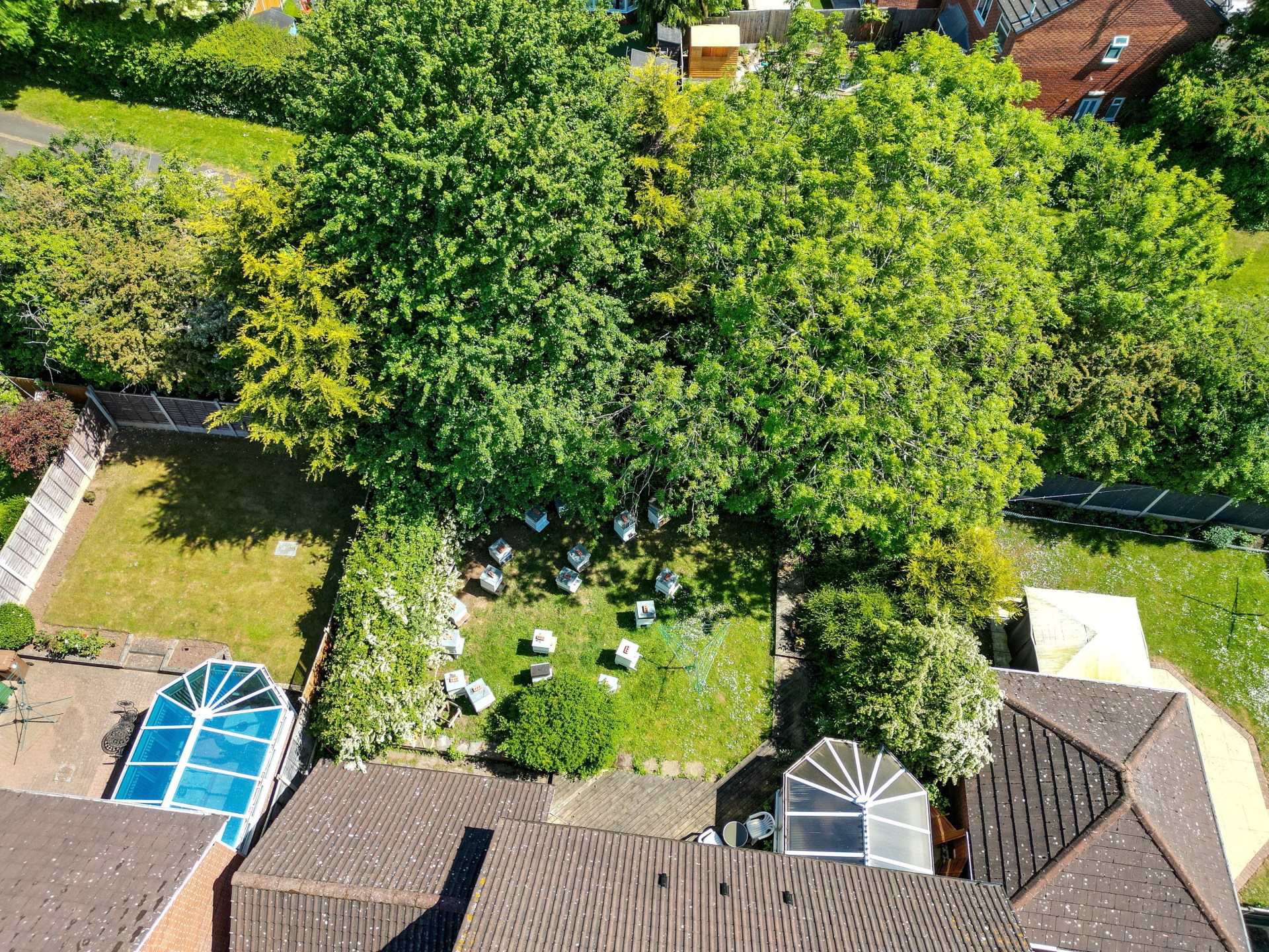 'Millions of bees have swarmed our street - it's like a scene from a ...