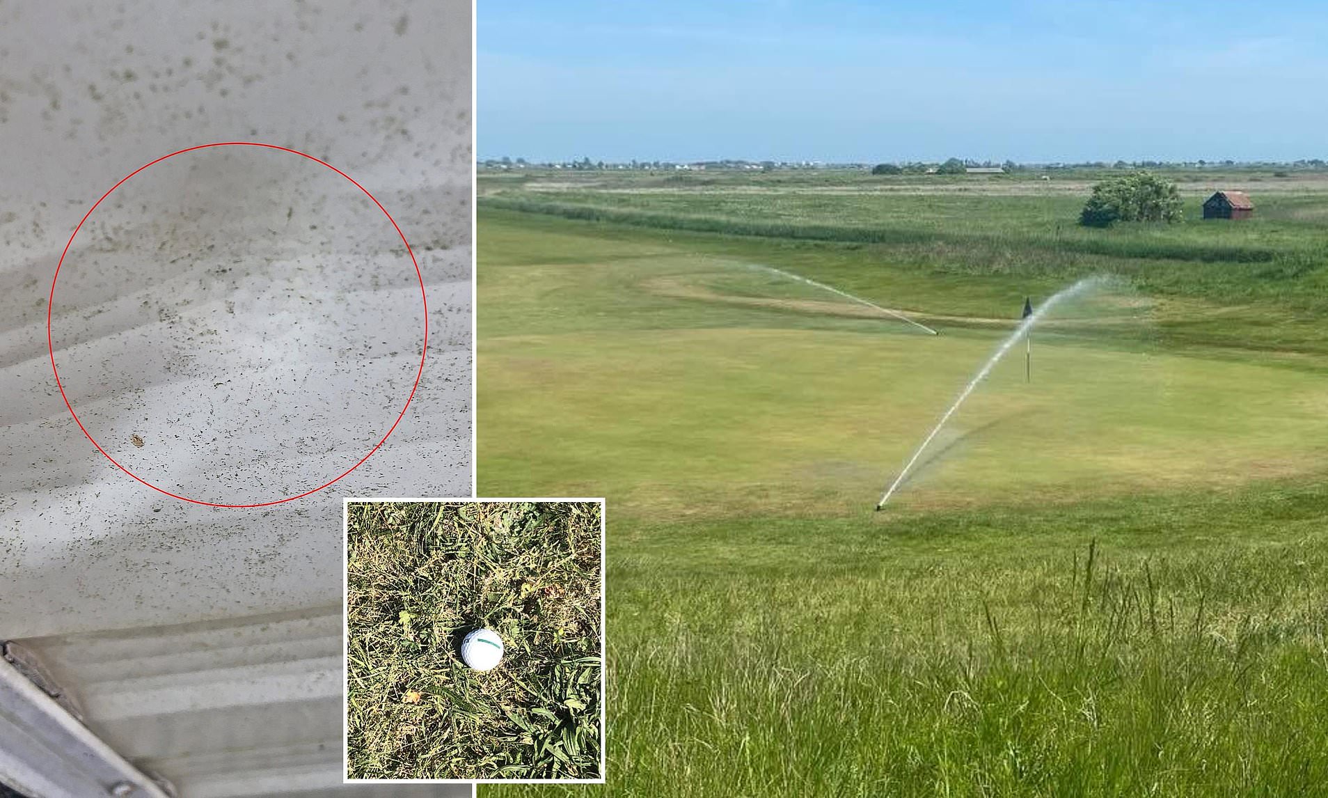 Families living near golf range scared to leave their homes over 'balls ...