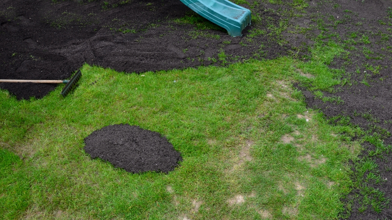 10 Things That Make a Lawn Look Lush Without Chemicals