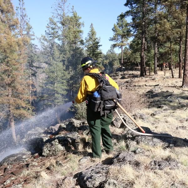 Greer Fire is more than 20K acres, 39% contained: What to know about ...