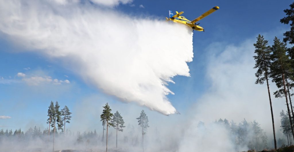 Torr mark och hög värme: Här är risken för skogsbränder som störst just nu