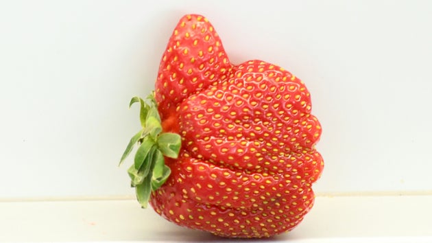 'Kiwi-Sized' Strawberries Are Everywhere This Year – Here's Why, And ...