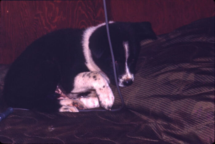 16 Recently Discovered Pics From Vietnam That Netizens Can’t Look Away From