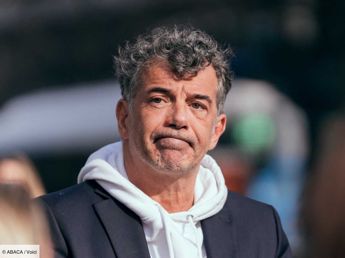 "Je vais bientôt parler" : Stéphane Plaza de retour à la télé ? Ses ...
