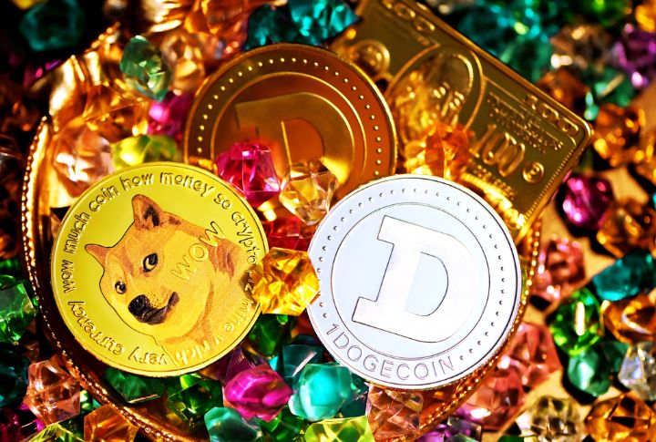 Inside The DOGE Experiment That Reshaped Government