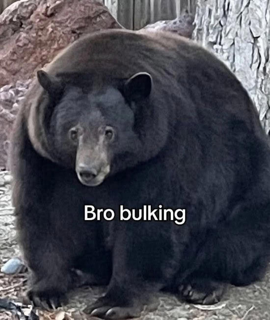 25 Funny Gym Memes To Lift Your Spirits Like Barbells (May 19, 2025)