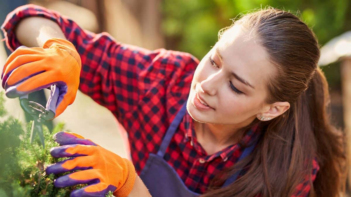 14 Fancy Lawn Services No Longer Budget-Friendly