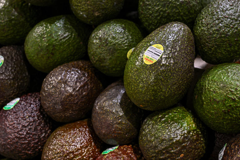 How avocados became one of the most Instagrammed foods in the world