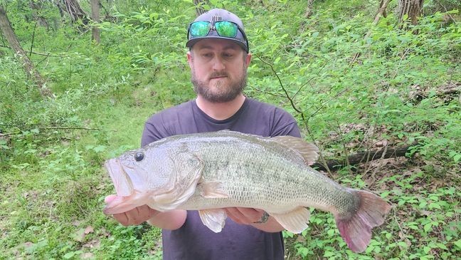 West Virginia state records for blue catfish, largemouth bass broken in ...