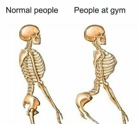 25 Funny Gym Memes To Lift Your Spirits Like Barbells (May 19, 2025)