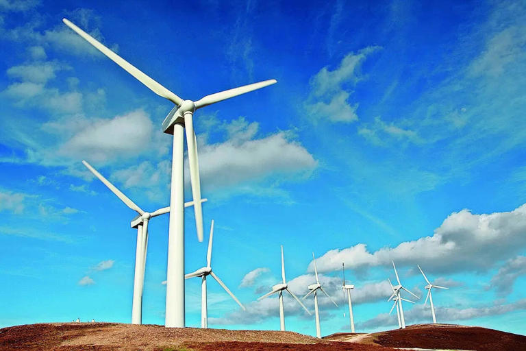 TPG-led consortium seeks CCI nod to acquire Siemens Gamesa's wind biz
