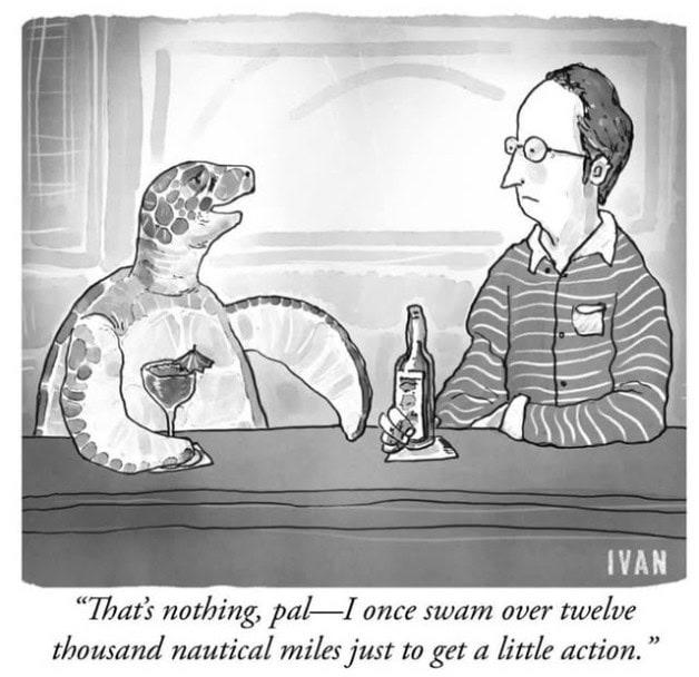 35 Clever Single Panel Comics From Uniquely Funny Cartoonist Ivan Ehlers