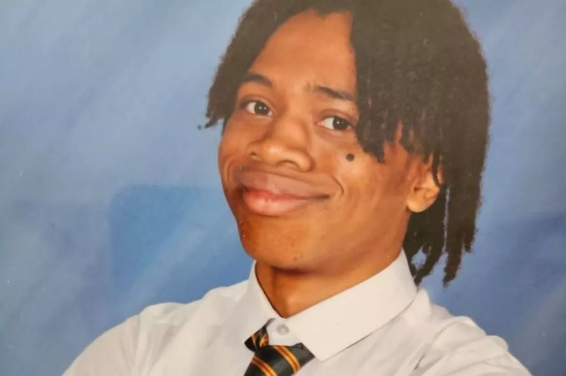 Friends of tragic teen were 'egging him on' to jump off pier into sea ...