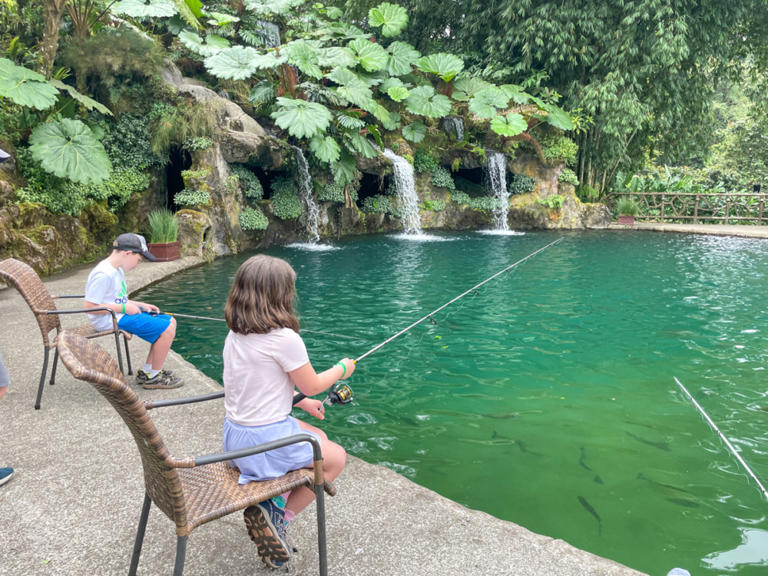 Exploring Costa Rica's Central Valley: Day Trip from San Jose