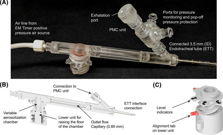 A step toward lifesaving therapy for premature infants in respiratory ...