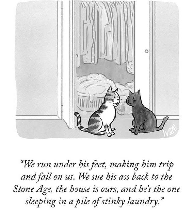 35 Clever Single Panel Comics From Uniquely Funny Cartoonist Ivan Ehlers