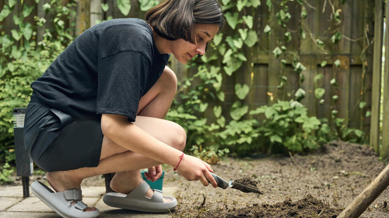 The Simple Solution To Prevent Pets From Digging Up Your Garden