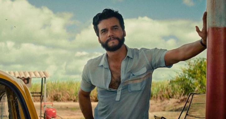 Snoop Dogg choca público na apresentação dos Golden Globes 2026