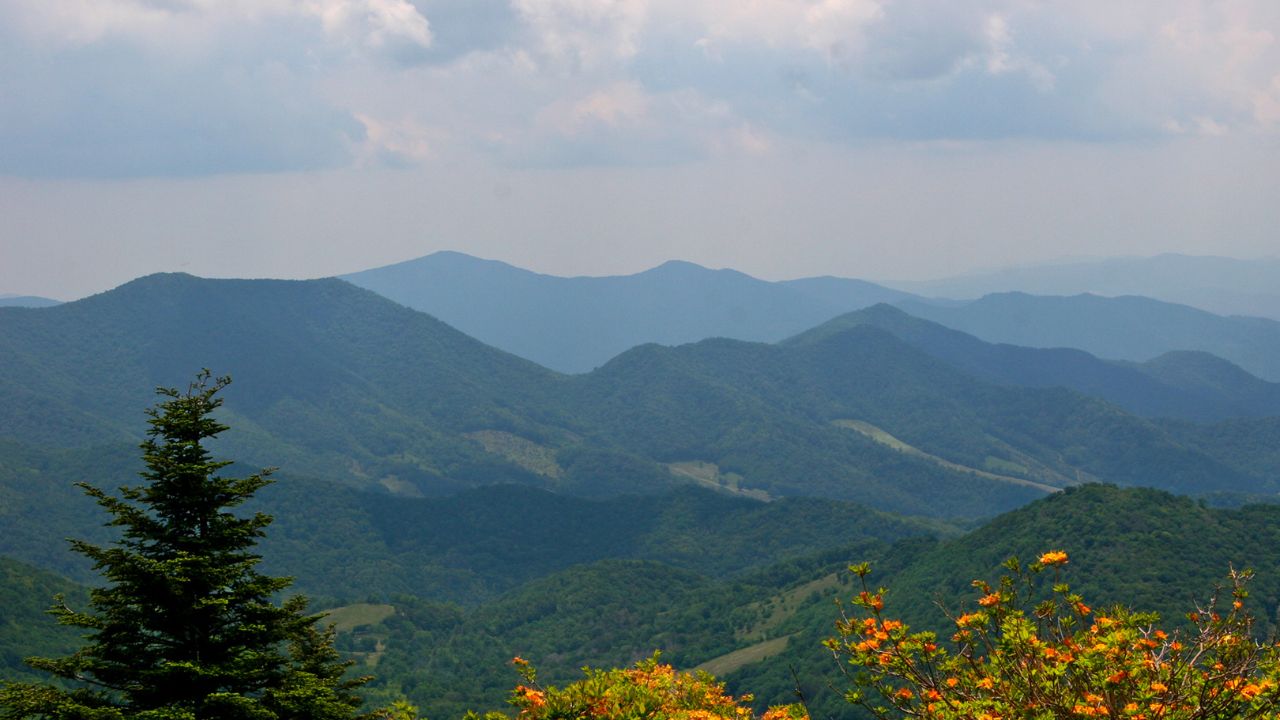 The Appalachian Manhunt That Gripped the Nation – and Pitted Backwoods ...