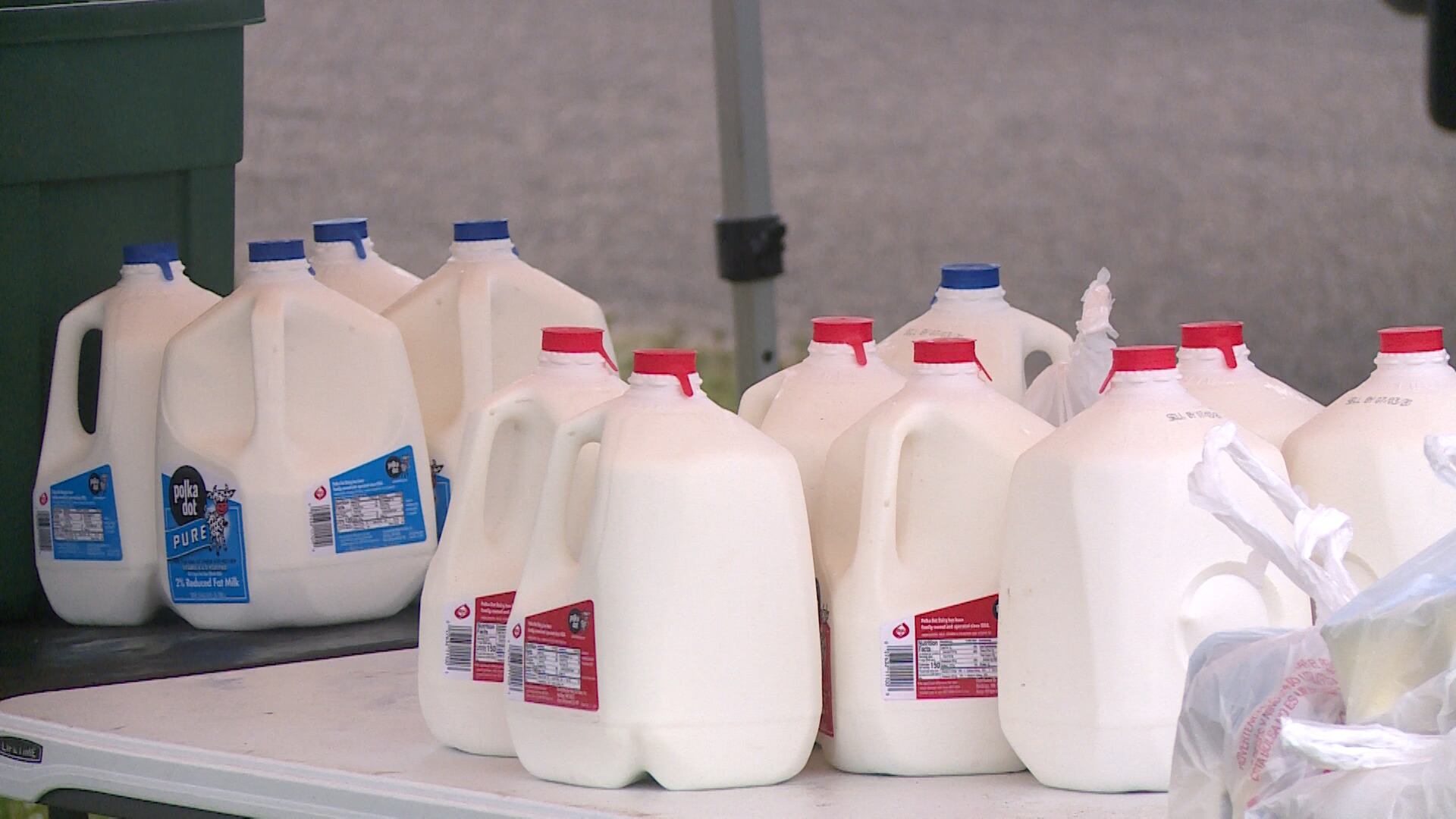 Wisconsin to Begin Monthly Milk Sampling as Part of the National Milk ...