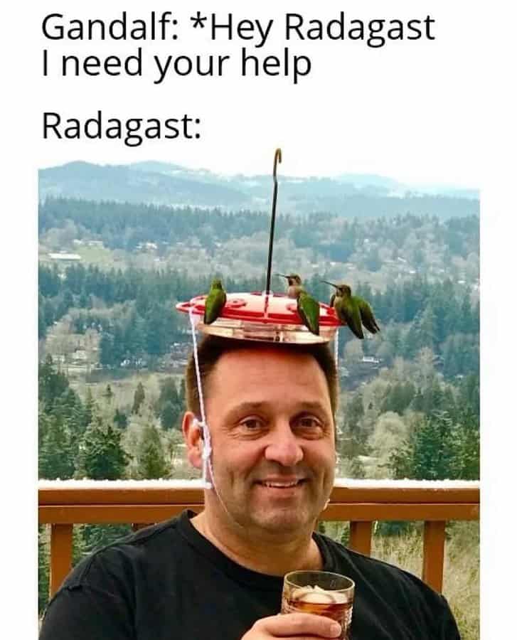 30 Funny Lord Of The Rings Memes For Shire Folk Having A Mordor Monday ...