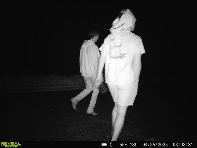 Suspects allegedly remove letters from sign for housing development ...