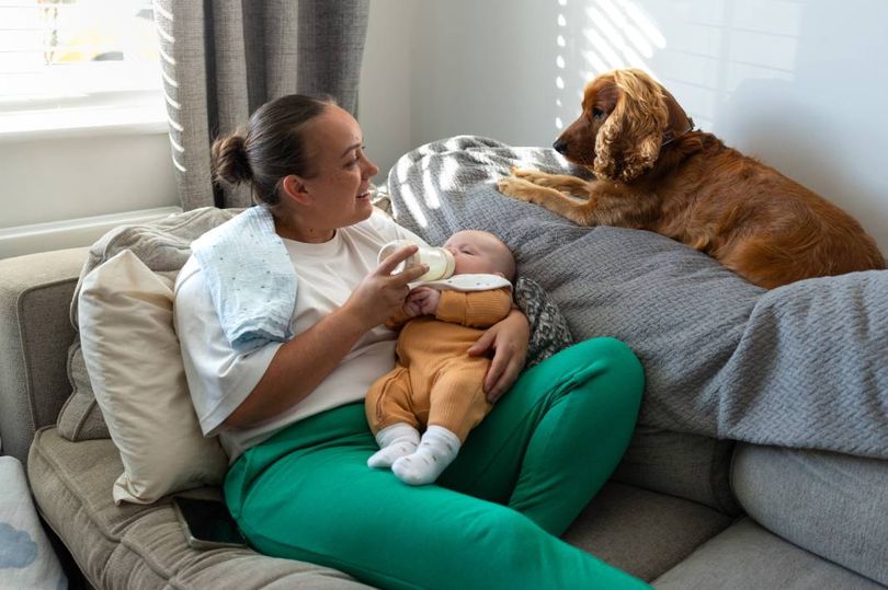 'I'm a dog expert - families with young children should avoid these 3 ...