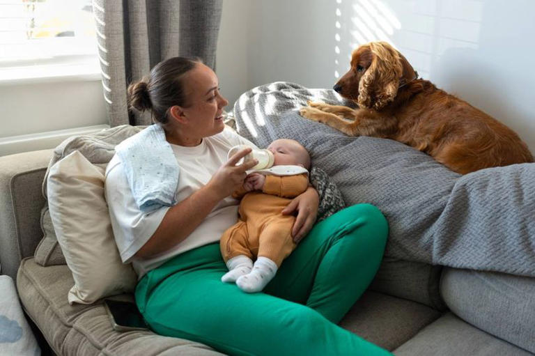 'I'm a dog expert - families with young children should avoid these 3 ...