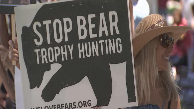 Protesters voice concerns over upcoming vote to reopen bear hunting in ...