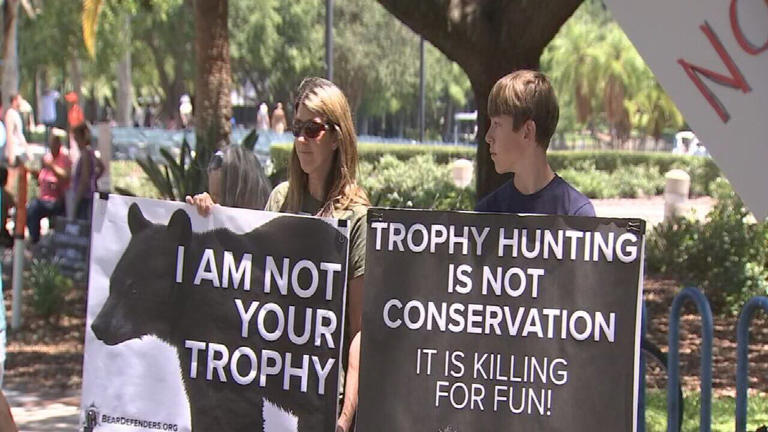 Protesters voice concerns over upcoming vote to reopen bear hunting in ...