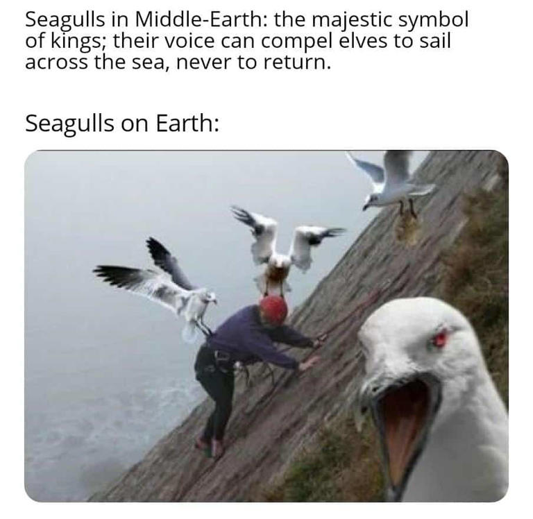 30 Funny Lord Of The Rings Memes For Shire Folk Having A Mordor Monday ...