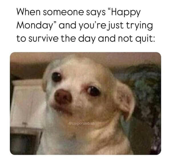 35 Funny Work Memes That Make The Workday Slightly More Bearable (May ...