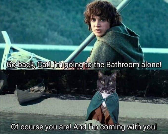 30 Funny Lord Of The Rings Memes For Shire Folk Having A Mordor Monday ...