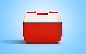 Use of Composite Allocation Score for Lung Transplant Wait List ...