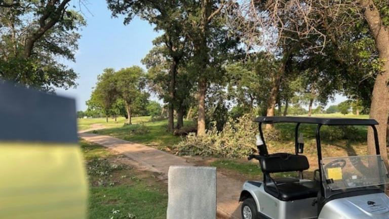 Trees damaged by severe storms at Shady Oaks Golf Course