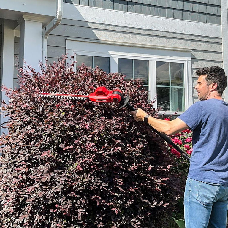 We tested the best hedge trimmers, and Husqvarna won for its effortless ...