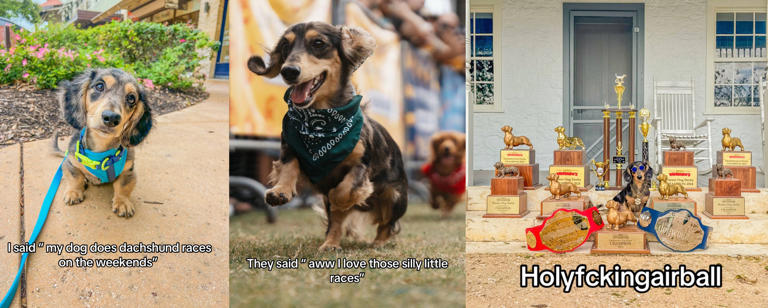 What Does 'Holy Airball' Mean On TikTok? The Viral Meme Trend Inspired ...