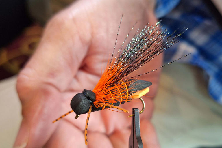 Pa. anglers prepare for rare fishing opportunity when cicadas 'splat ...