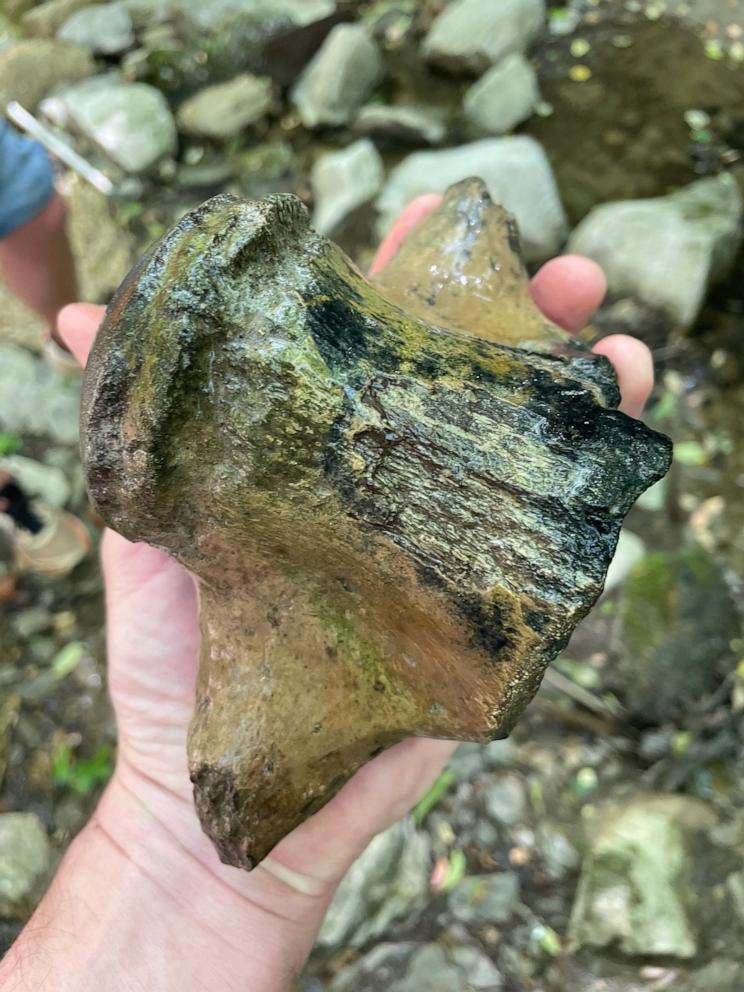 Evidence of 30-foot ancient sea monster found in this state