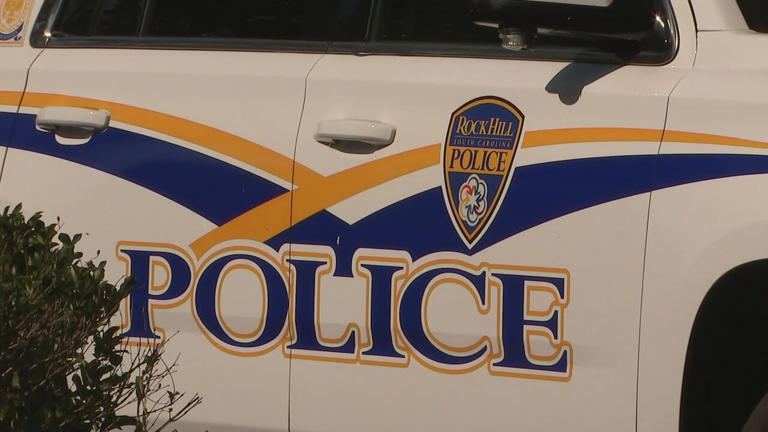 Rock Hill K-9 team tracks suspect in fatal hit-and-run
