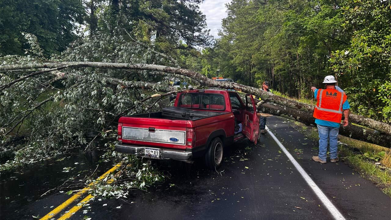 Fallen trees cause injury during stormy weather in Dorchester County