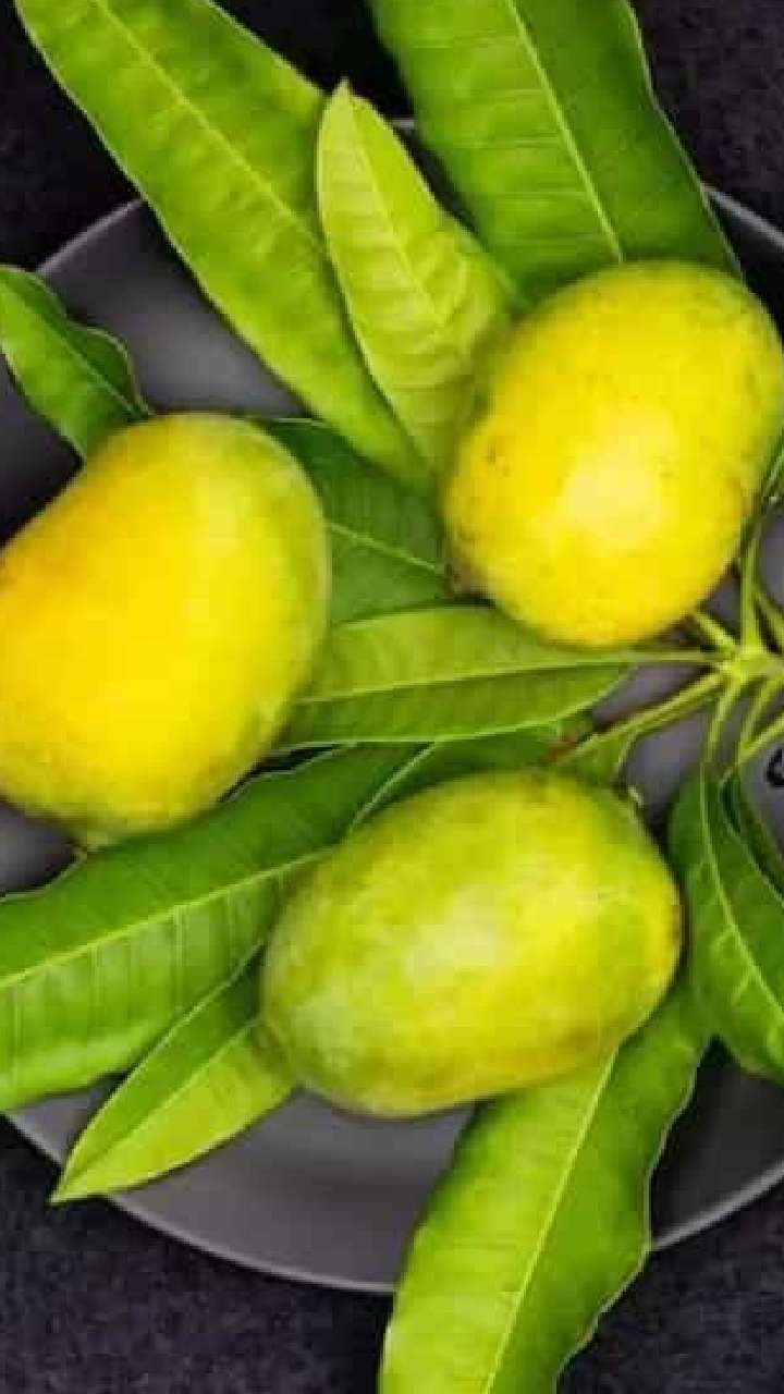 How To Use Mango Leaves To Boost Hair Growth?