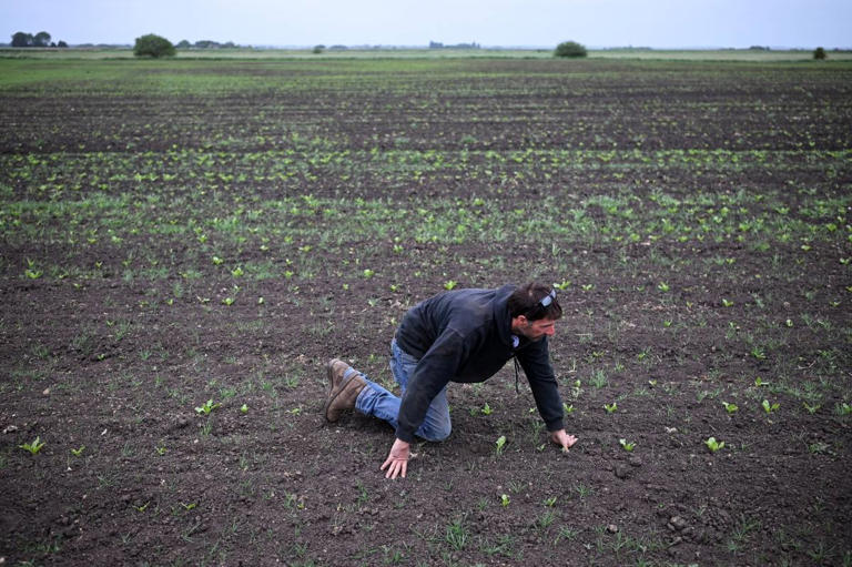 UK farmers pray for rain amid driest spring since 1852