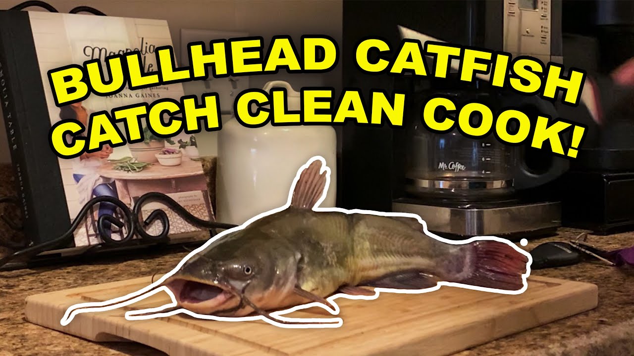 Bullhead Catfish Catch Clean Cook!