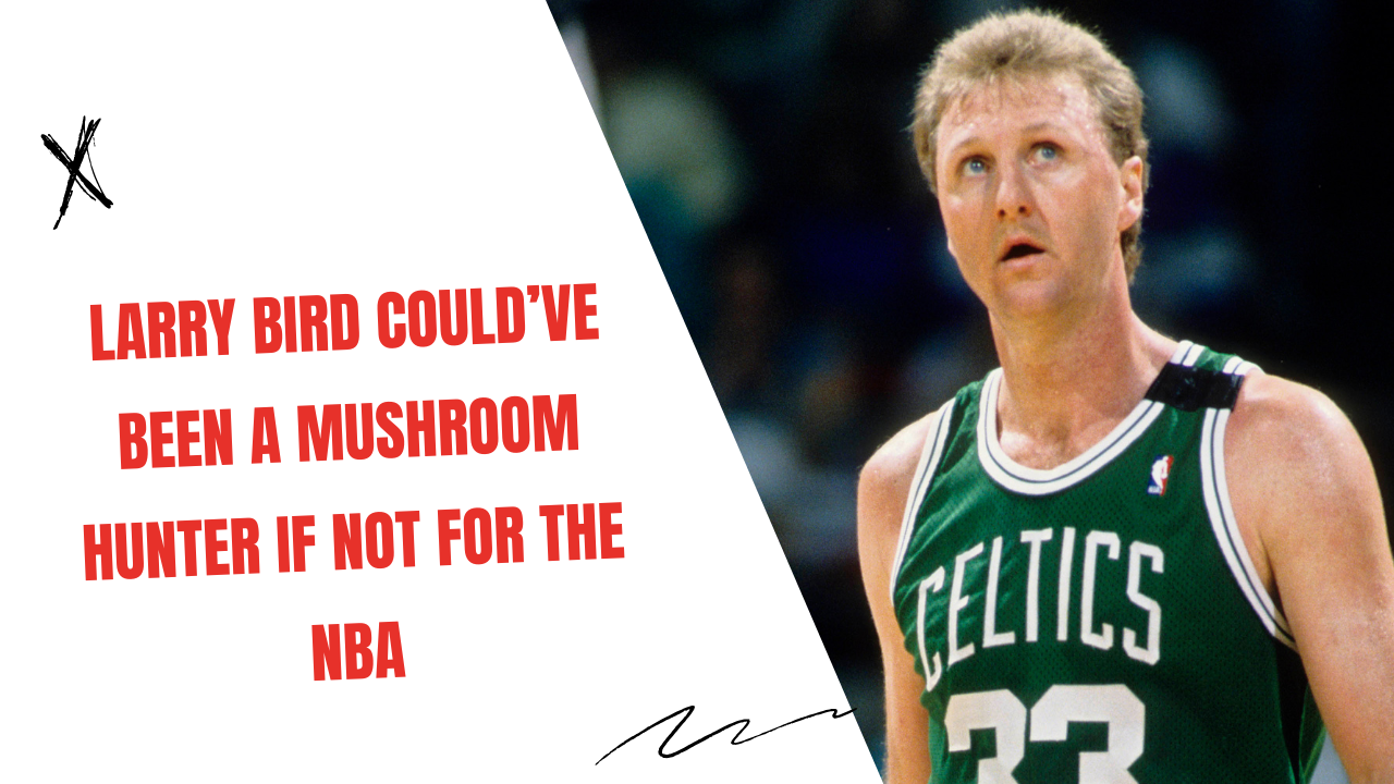 Larry Bird Could’ve Been a Mushroom Hunter If Not for the NBA