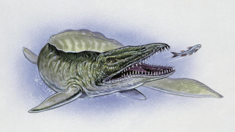 Evidence of 30-foot ancient sea monster found in this state