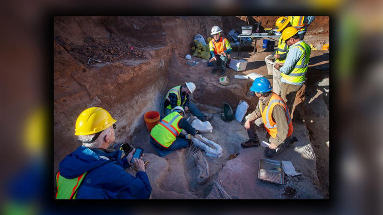 Texas road work leads to archeological discoveries of ‘colossal creatures’